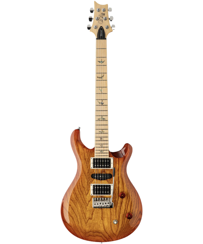 PRS SE Swamp Ash Special – R & R Guitars
